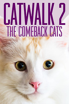 ‎Catwalk 2: The Comeback Cats (2022) directed by Michael McNamara ...