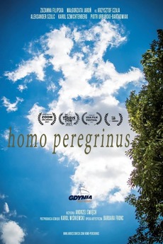 ‎Homo Peregrinus (2021) directed by Andrzej Święch • Film + cast ...