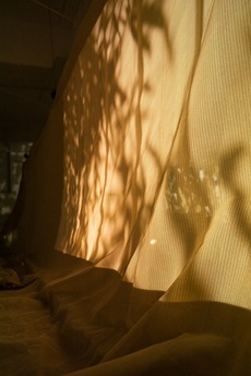 ‎Skin Shade Night Day (2022) directed by Allison Chhorn • Reviews, film ...