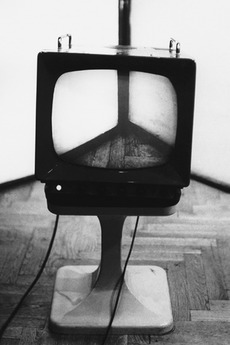 ‎Róg directed by Ryszard Wasko • Film + cast • Letterboxd