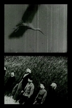 ‎6 000 000 (1962) directed by Józef Robakowski • Reviews, film + cast ...