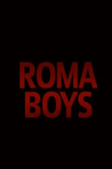 ‎Roma Boys – The Love Story (2009) directed by Rozálie Kohoutová • Film ...