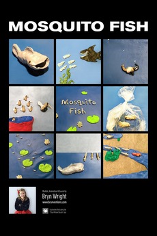 ‎Mosquito Fish (2021) directed by Bryn Wright • Film + cast • Letterboxd