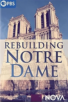 ‎Rebuilding Notre-Dame: The Next Chapter (2022) directed by Joby Lubman ...