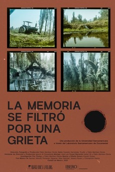 ‎La memoria se filtró por una grieta (2022) directed by Pablo Martínez ...