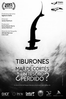 ‎Tiburones Del Mar De Cortés: ¿Un Tesoro Perdido? (2022) directed by ...