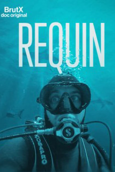 ‎Requin (2022) directed by Charles Villa • Reviews, film + cast ...