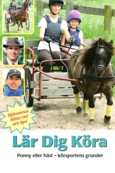‎Lär dig köra (2007) directed by Pernilla Linder Velander • Film + cast ...