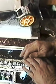 ‎Reflecting Thought: Stan Brakhage (1985) directed by Jason Starr ...
