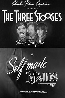 Self Made Maids’ review by ARTHUR CHAPPELL • Letterboxd