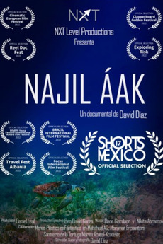 ‎Najil Aak (2022) directed by David Díaz • Reviews, film + cast • Letterboxd