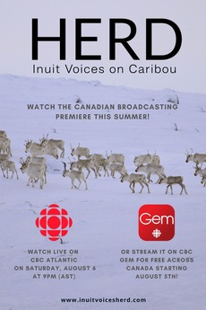 ‎Herd: Inuit Voices on Caribou (2022) directed by David Borish • Film ...