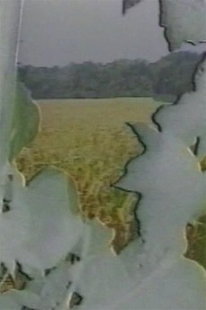 ‎Oley (1993) directed by Gary Adlestein • Film + cast • Letterboxd