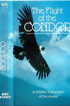 ‎The Flight of the Condor (1985) • Film + cast • Letterboxd