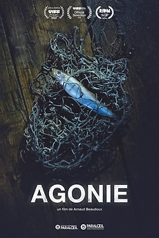 ‎Agony (2022) directed by Arnaud Beaudoux • Reviews, film + cast • Letterboxd