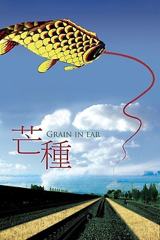 ‎Grain in Ear (2005) directed by Zhang Lu • Reviews, film + cast ...