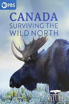 ‎Nature: Canada - Surviving the Wild North (2022) • Reviews, film ...