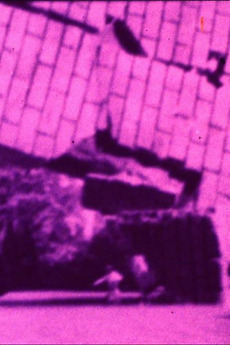 ‎ENERGY OF DELUSION: KEITH SANBORN, a list of films by Not Anthology ...