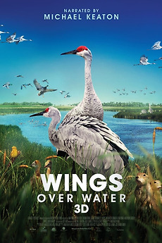 ‎Wings Over Water (2022) directed by Andrew Young • Reviews, film ...