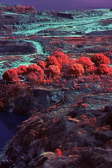 ‎Broken Spectre (2022) directed by Richard Mosse • Reviews, film + cast ...