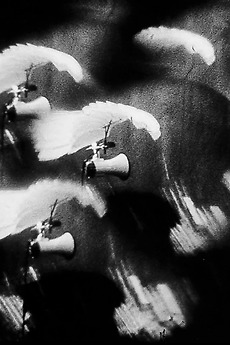 ‎Turbulence (2022) directed by Telemach Wiesinger • Reviews, film ...