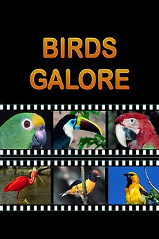 ‎Birds Galore (2012) directed by Carlo Ferraro • Film + cast • Letterboxd