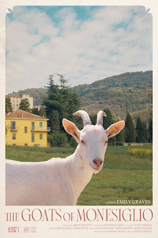 ‎The Goats of Monesiglio (2022) directed by Emily Graves • Reviews ...
