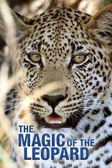 ‎The Magic of the Leopard (2012) directed by Manuela Zips, Werner Zips ...