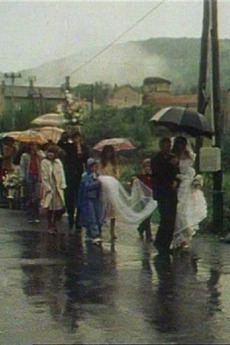 ‎Profeten (1984) directed by Eric M. Nilsson • Reviews, film + cast ...