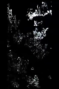 ‎a devotion directed by Yuta Takehiro • Film + cast • Letterboxd