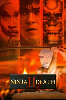 ‎Ninja Death 2 (1987) directed by Joseph Kuo • Reviews, film + cast ...