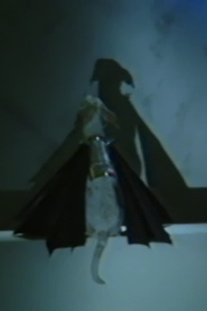 ‎Passe Pas Seul (1989) directed by Bettina Gruber • Reviews, film ...