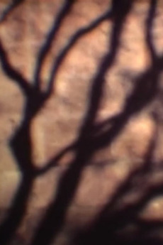 ‎Pulsion (2001) directed by Dominik Lange • Film + cast • Letterboxd