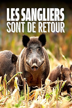 ‎Wild Boar: The Comeback (2020) directed by Astrid Miller • Film + cast ...
