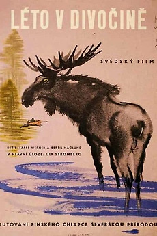 ‎Matty (1957) directed by Bertil Haglund, Lars V. Werner • Reviews ...