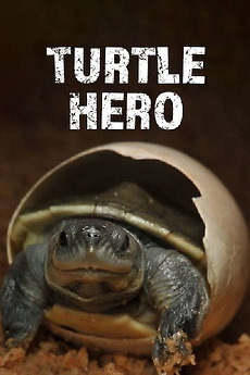 ‎Turtle Hero (2016) directed by Jeremy Hogarth • Reviews, film + cast • Letterboxd
