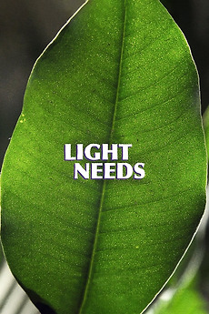 ‎Light Needs (2023) directed by Jesse McLean • Reviews, film + cast • Letterboxd