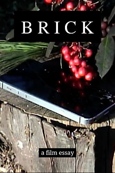 ‎Brick - A film essay (2021) directed by Josh Whiteman • Reviews, film ...