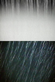 ‎Regen directed by Christine Koenigs • Film + cast • Letterboxd