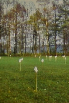 ‎Box (1976) directed by Roman Signer • Film + cast • Letterboxd