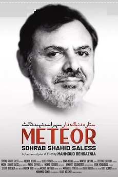 ‎Meteor: Sohrab Shahid Saless (2021) directed by Mahmoud Behraznia ...