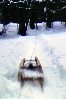 ‎Sled (1980) directed by Roman Signer • Film + cast • Letterboxd