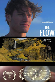 ‎The Flow (2017) directed by Jelle Bleyenbergh • Reviews, film + cast ...