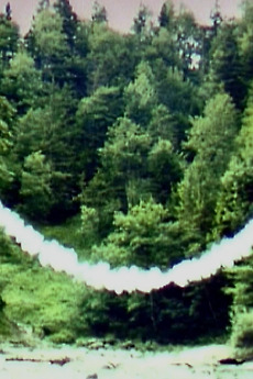 ‎Arc (1978) directed by Roman Signer • Film + cast • Letterboxd