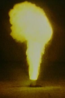 â žfire 1982 Directed By Roman Signer â Film Cast â Letterboxd