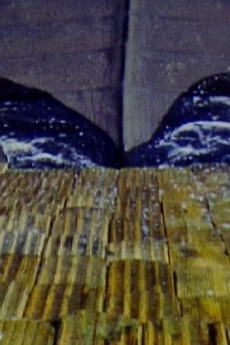 ‎Water (1982) directed by Roman Signer • Film + cast • Letterboxd