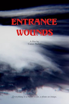 ‎Entrance Wounds (2023) directed by Calum Walter • Reviews, film + cast ...