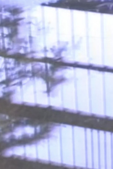 ‎Love & Numbers (2004) directed by TJ Cuthand • Reviews, film + cast ...