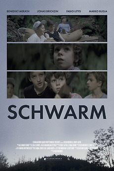 ‎Swarm (2016) directed by Eugen Merher • Film + cast • Letterboxd