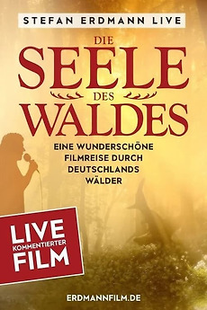 Morlenbach Mehr Als Nur Ein Name Entdecke Die Seele Des Odenwaldsfeed